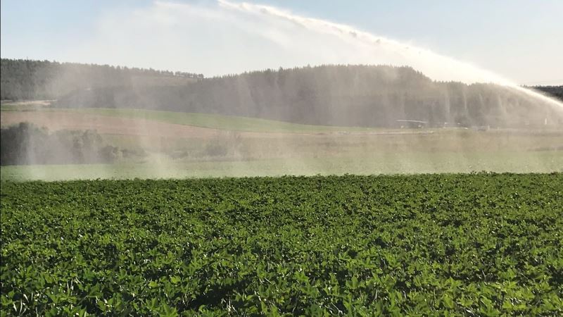 Long throw irrigation sprinkler JET50 Unique water distribution ...